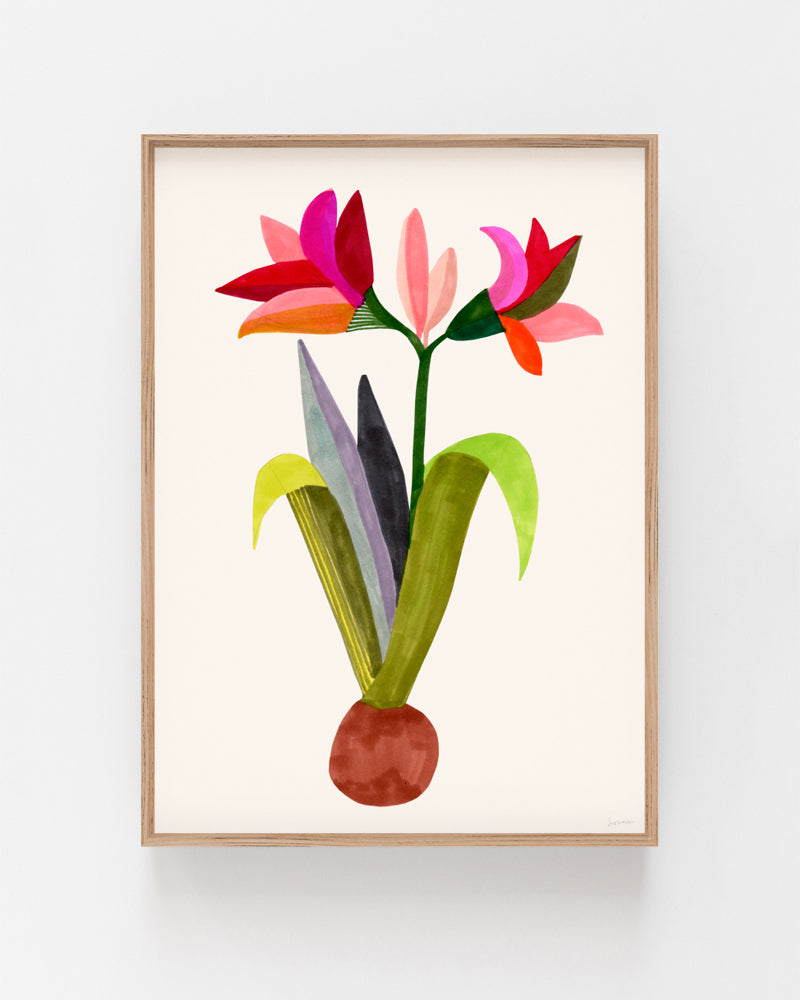 Amaryllis Full Bloom fine art archival flower print